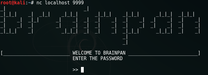 Buffer Overflow Fun with Brainpan 1