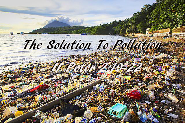 The Solution To Pollution
