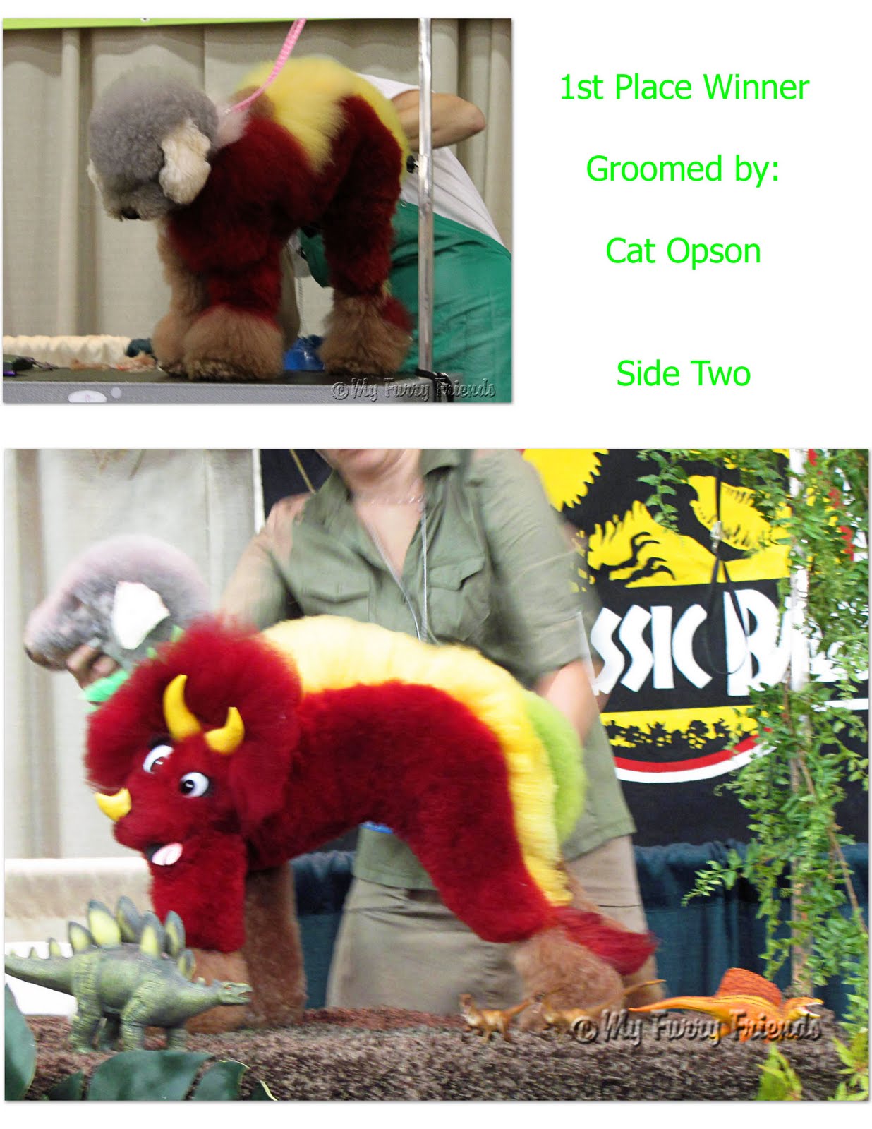Pet Grooming: The Good, The Bad, & The Furry: Groom Expo 2011 Creative ...