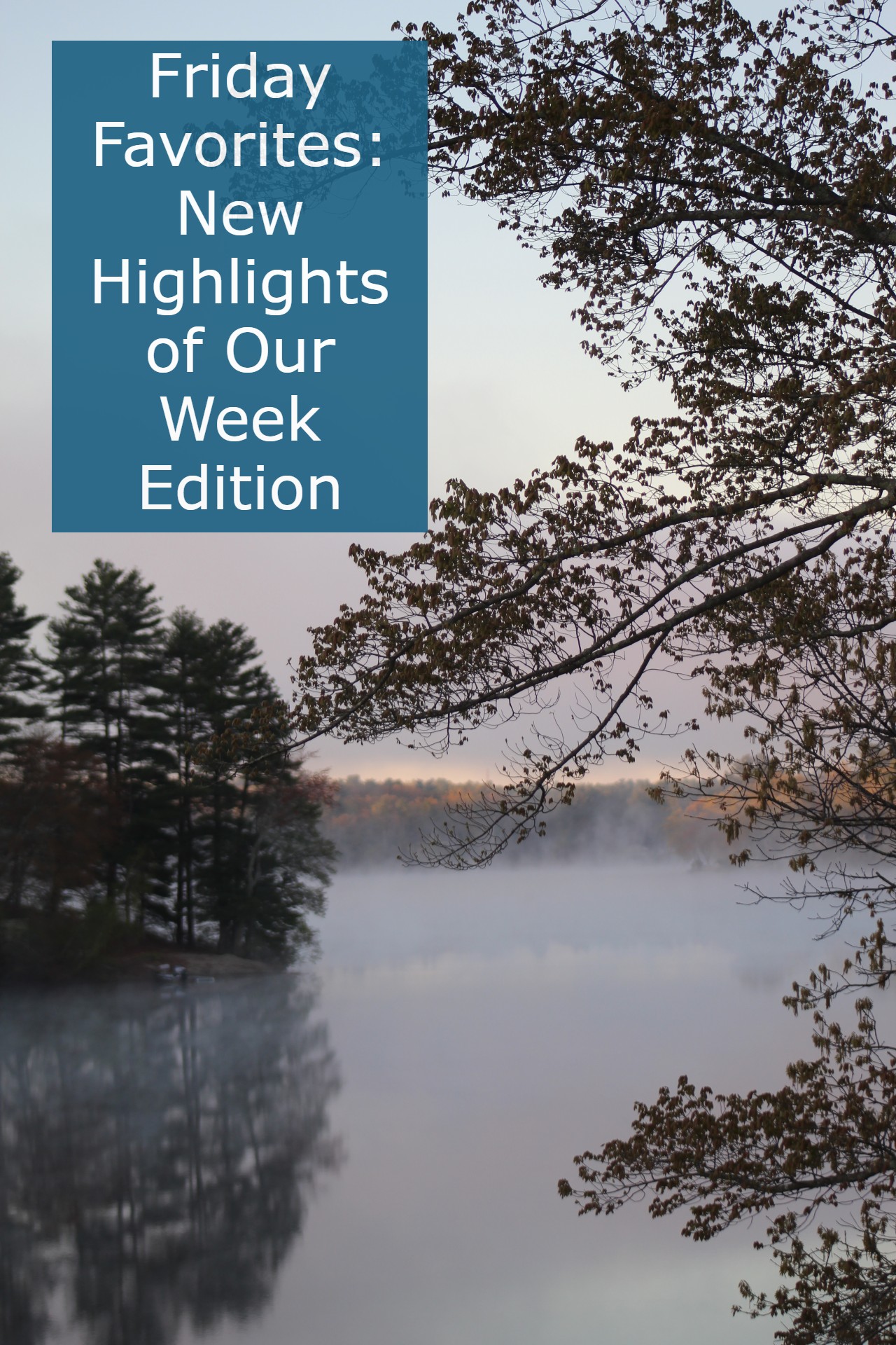 Friday Favorites: New Highlights of our Week Edition