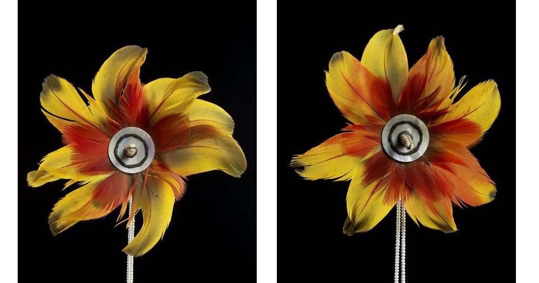 ElizaC: LA GRANDE LESSIVE