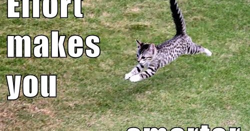 Growth Mindset & Feedback Cats: Effort makes you smarter.