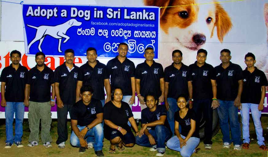 Adopt a dog in Sri Lanka just completed their fourth successful ...