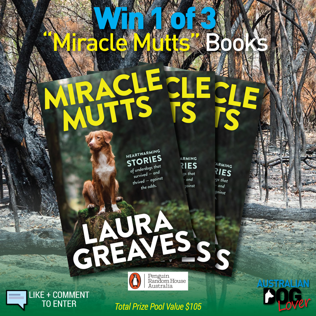 Win 1 of 3 copies of the Miracle Mutts Book | Australian Dog Lover
