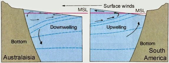 FYI : Downwelling, Upwelling dan Sirkulasi Termohalin