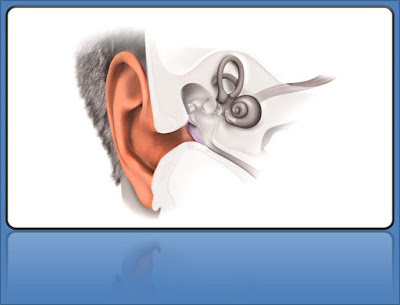 junio 2021 ~ Biopsicosalud