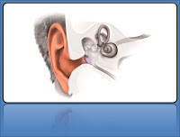 El Oído como Fonorreceptor ~ Biopsicosalud