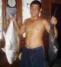 therealcuriousbiker: How to protect Maliputo from a thieving cat