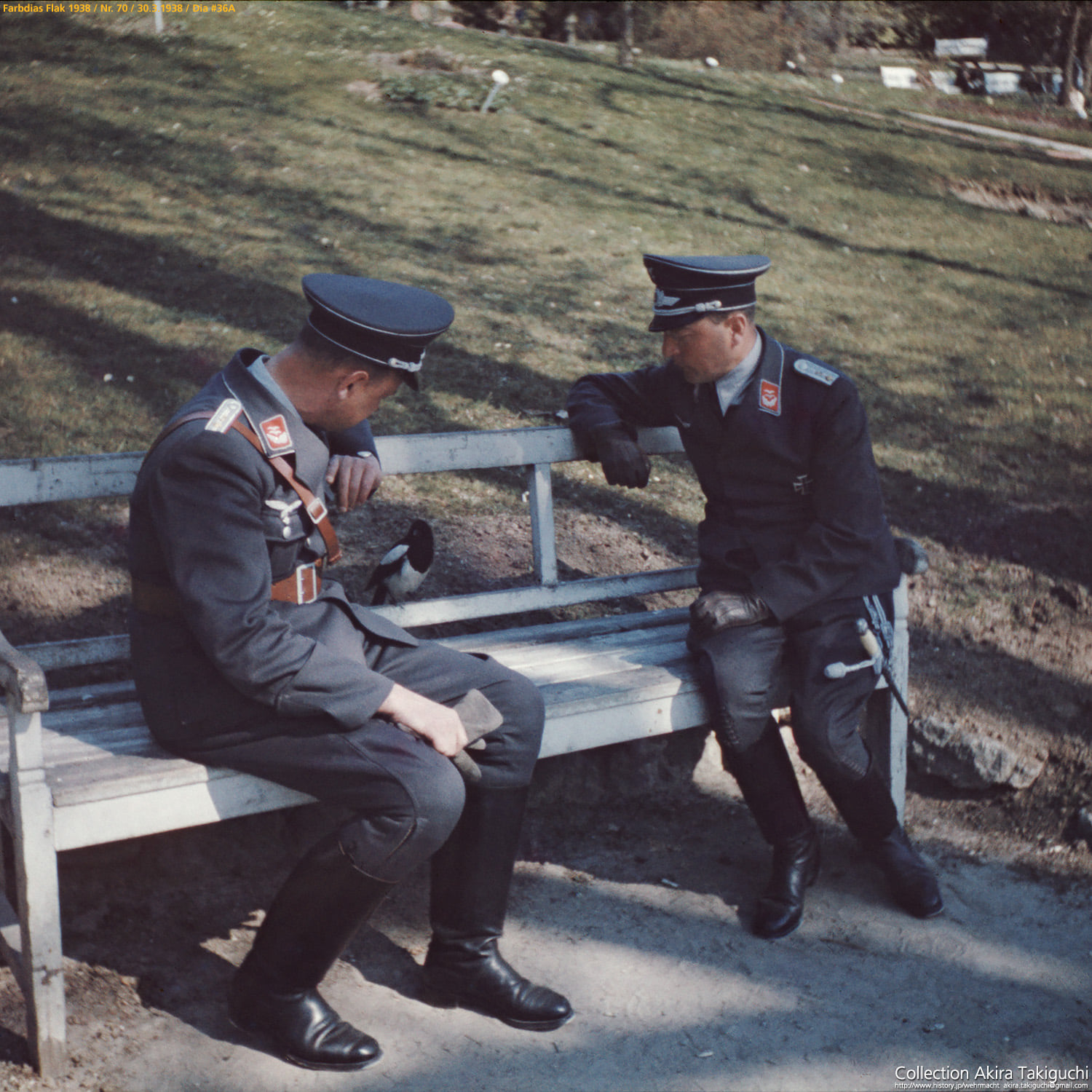 World War II in Color: Two Luftwaffe Officers and a Bird
