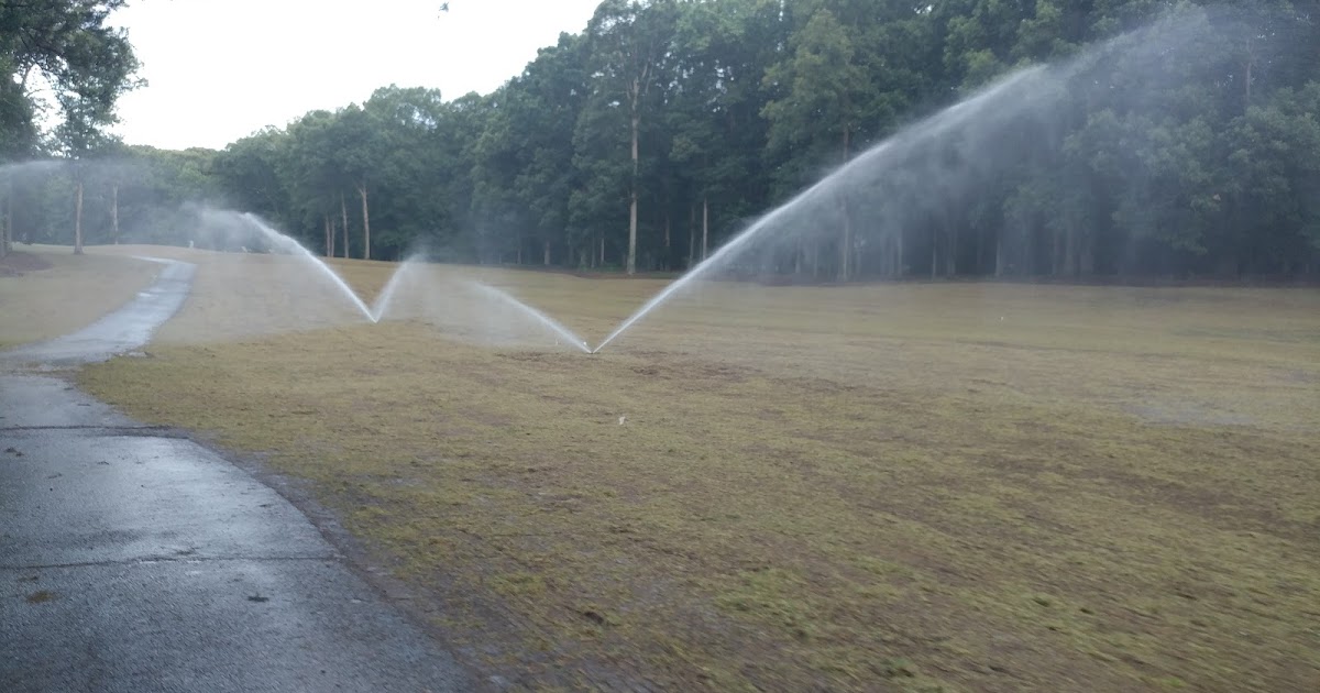 Sprigging is moving along