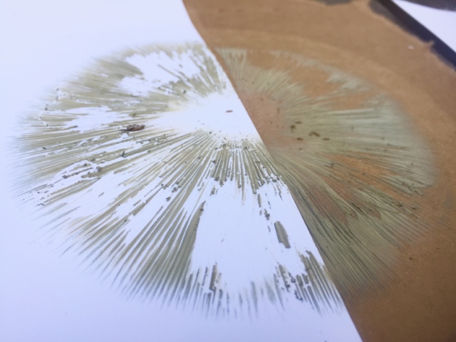 The Foraged Foodie: Making spore prints for wild mushroom ...