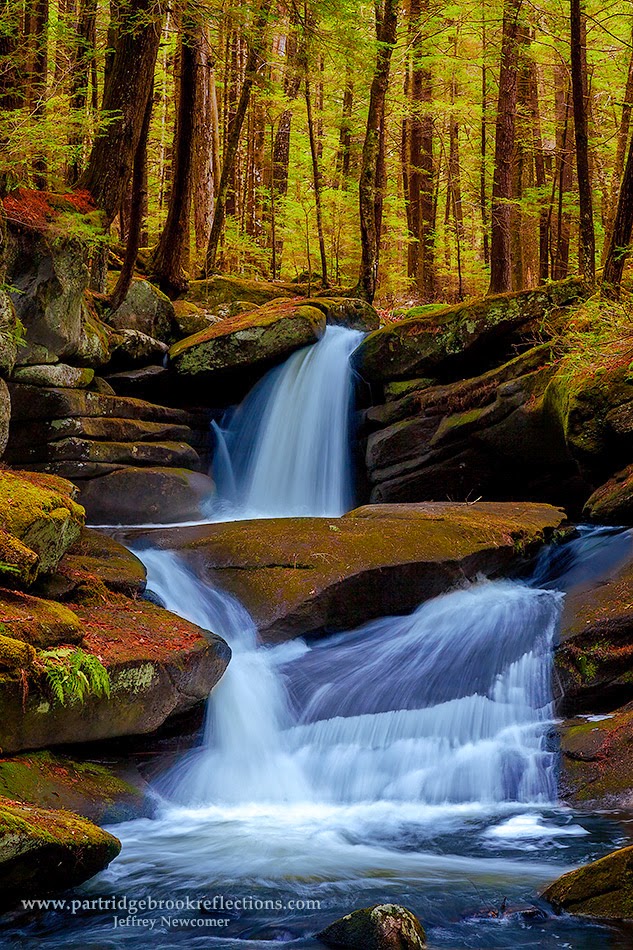 Getting it Right in the Digital Camera : Pulpit Falls (Finally)