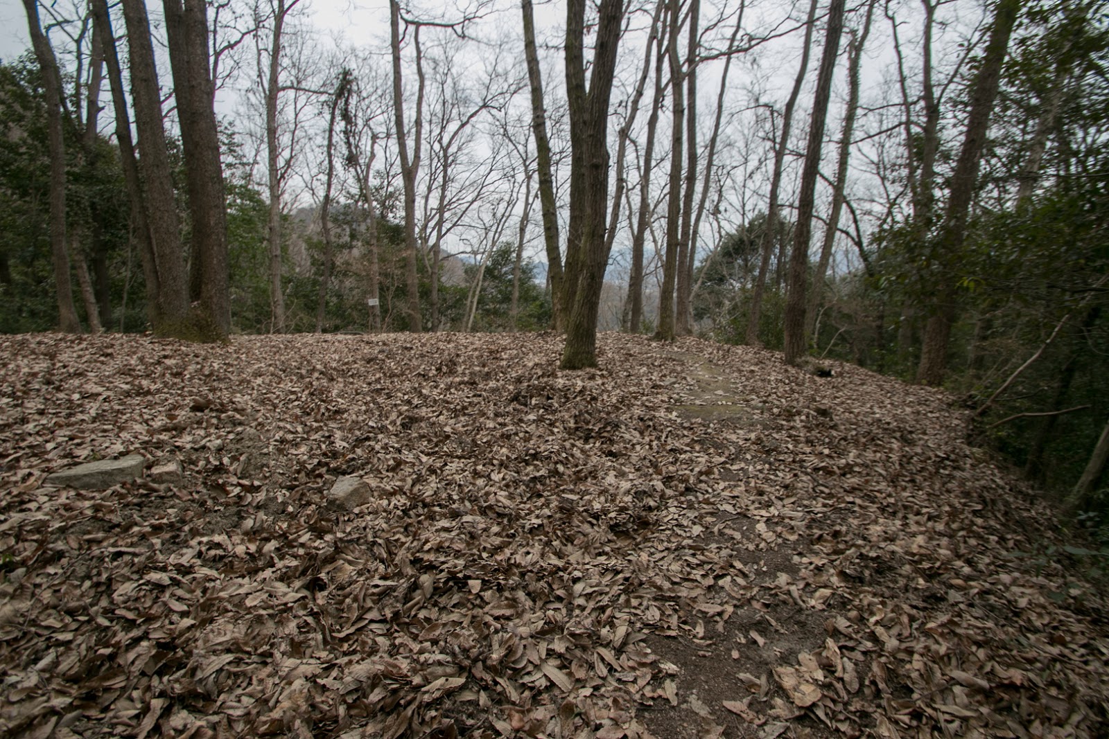 Niitakayama Castle -Intellectual pillar of Mouri clan (2)- | Japan ...