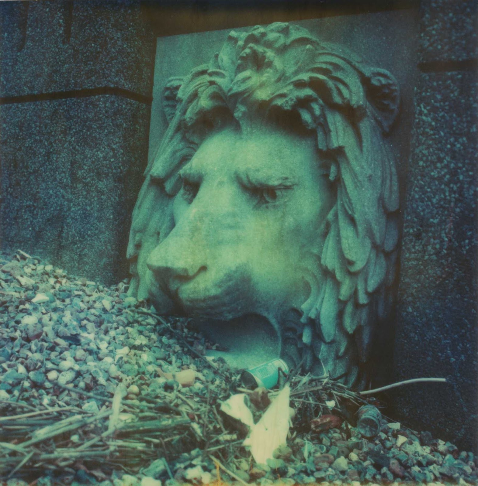 SF SAID: SF Said's Photography