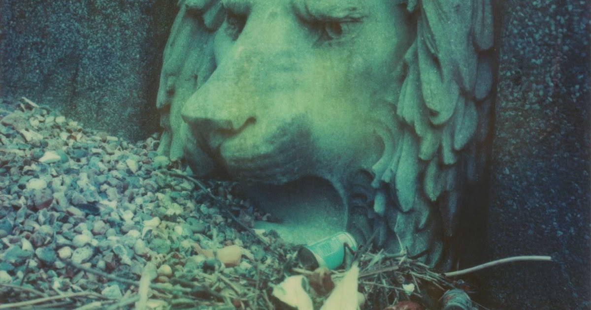 SF SAID: SF Said's Photography