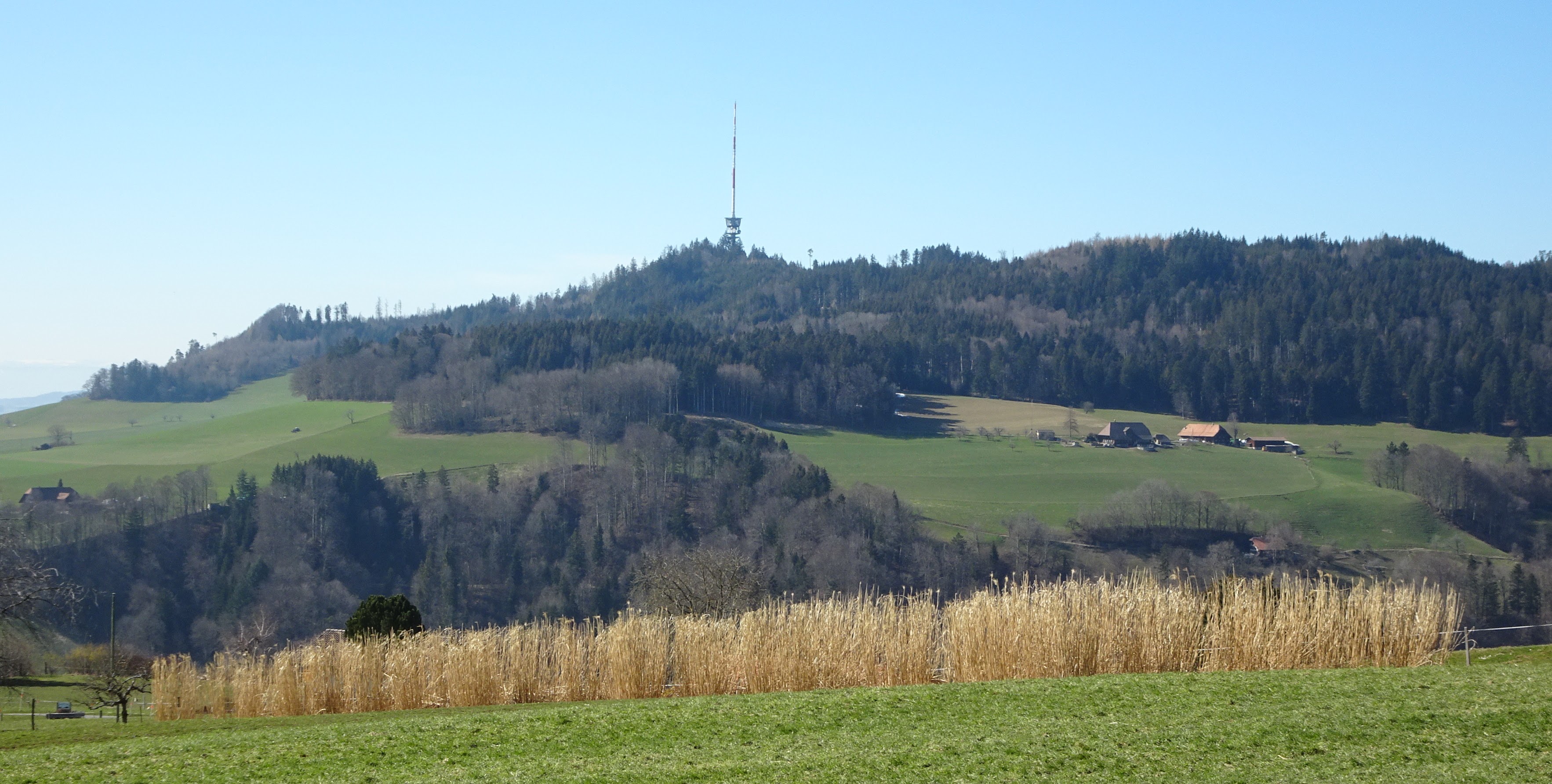 Stettlen – Bantiger – Boll (BE) – Wandern mit Freunden