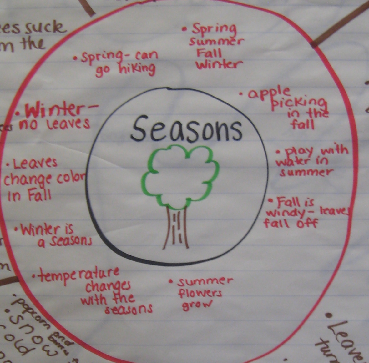 Apple Round Up! - Mandy's Tips for Teachers