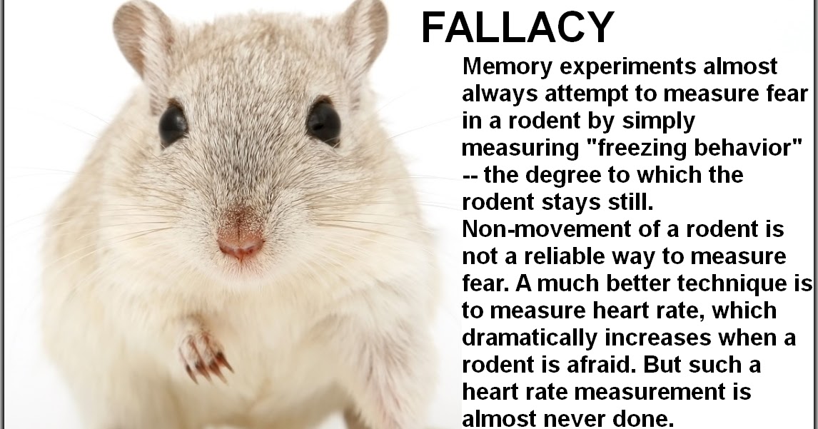 Head Truth: The Lack of Evidence for Memory-Storage Engram Cells