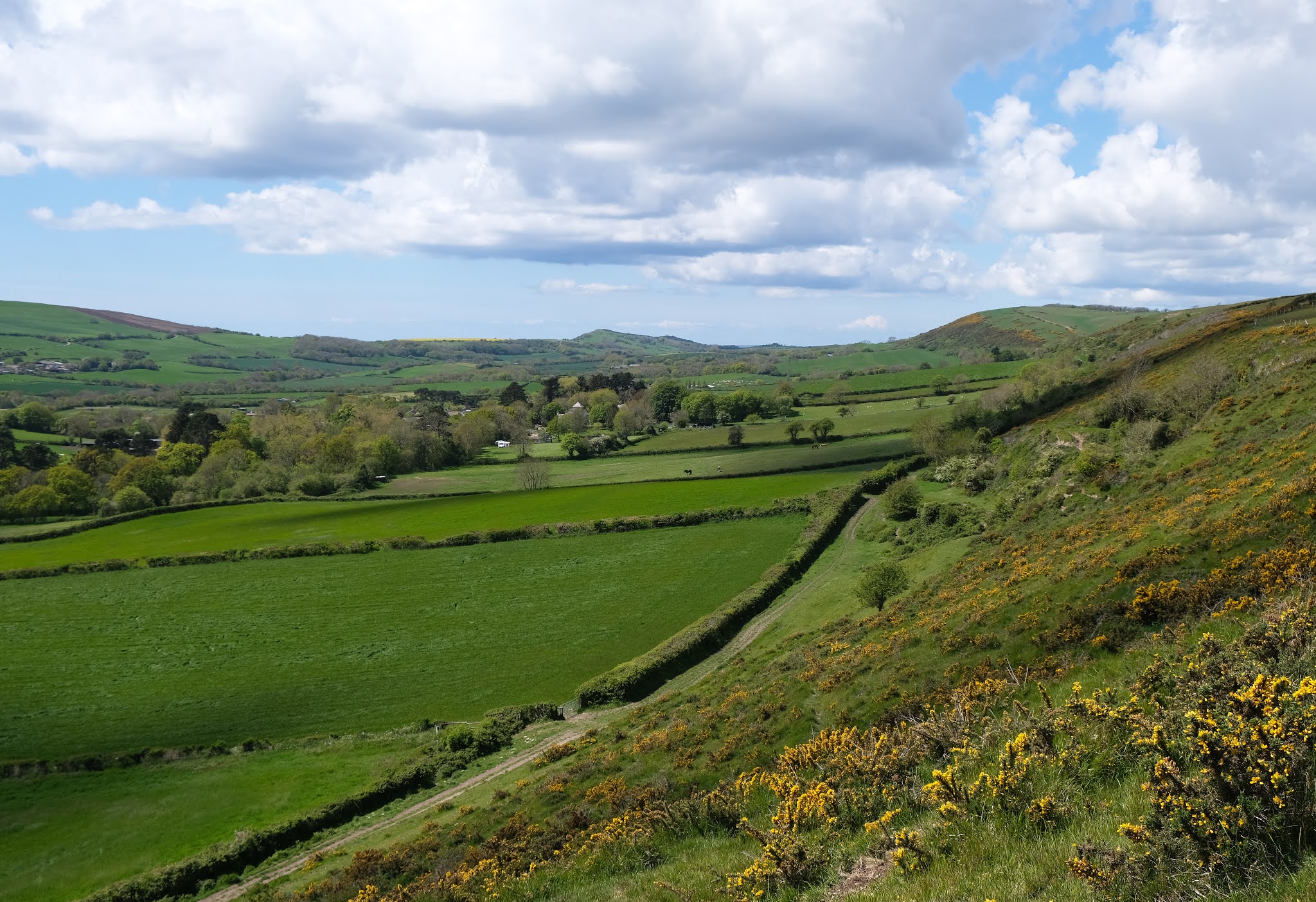Walking in the country: Corfe Castle and Church Knowle