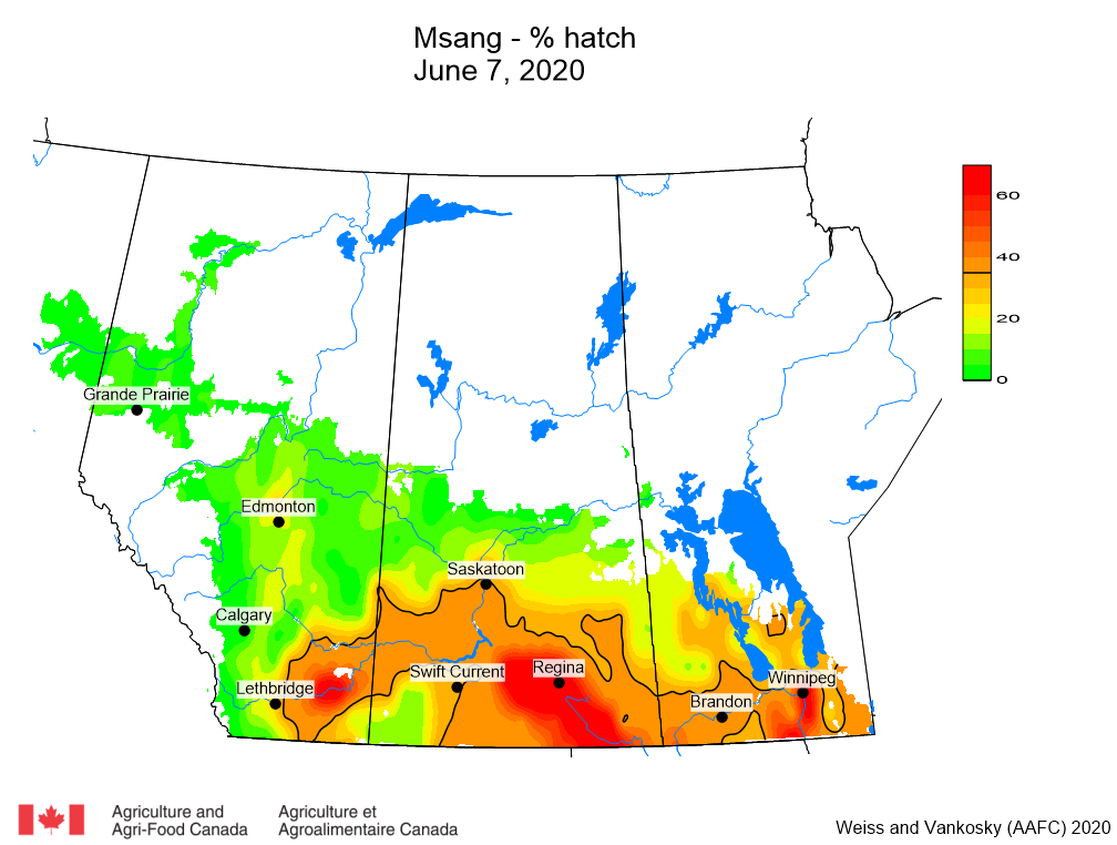 Prairie Pest Monitoring Network Blog: Predicted grasshopper development