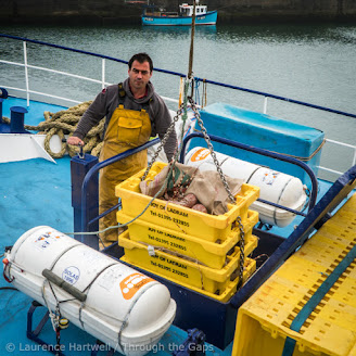 Through the Gaps! - Newlyn Fishing News: Langouste Rose landed only for ...