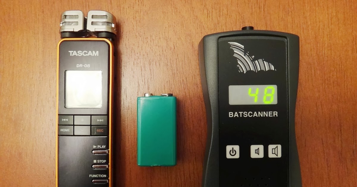 Bat Detector Reviews: Review: The NEW Batscanner From Elekon!