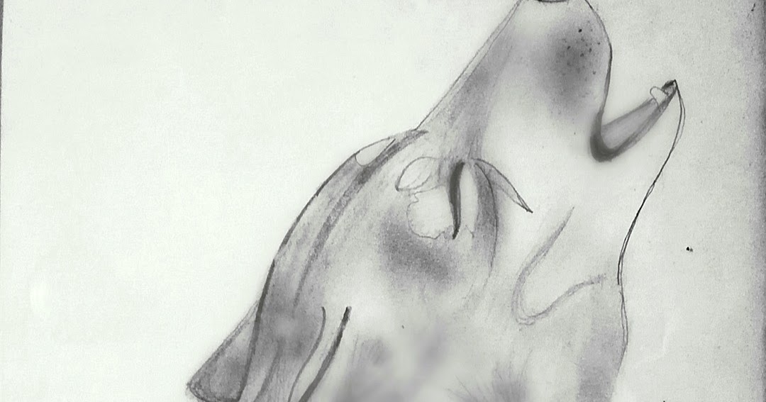 Dreamscapes: spirit animal sketch-wolf