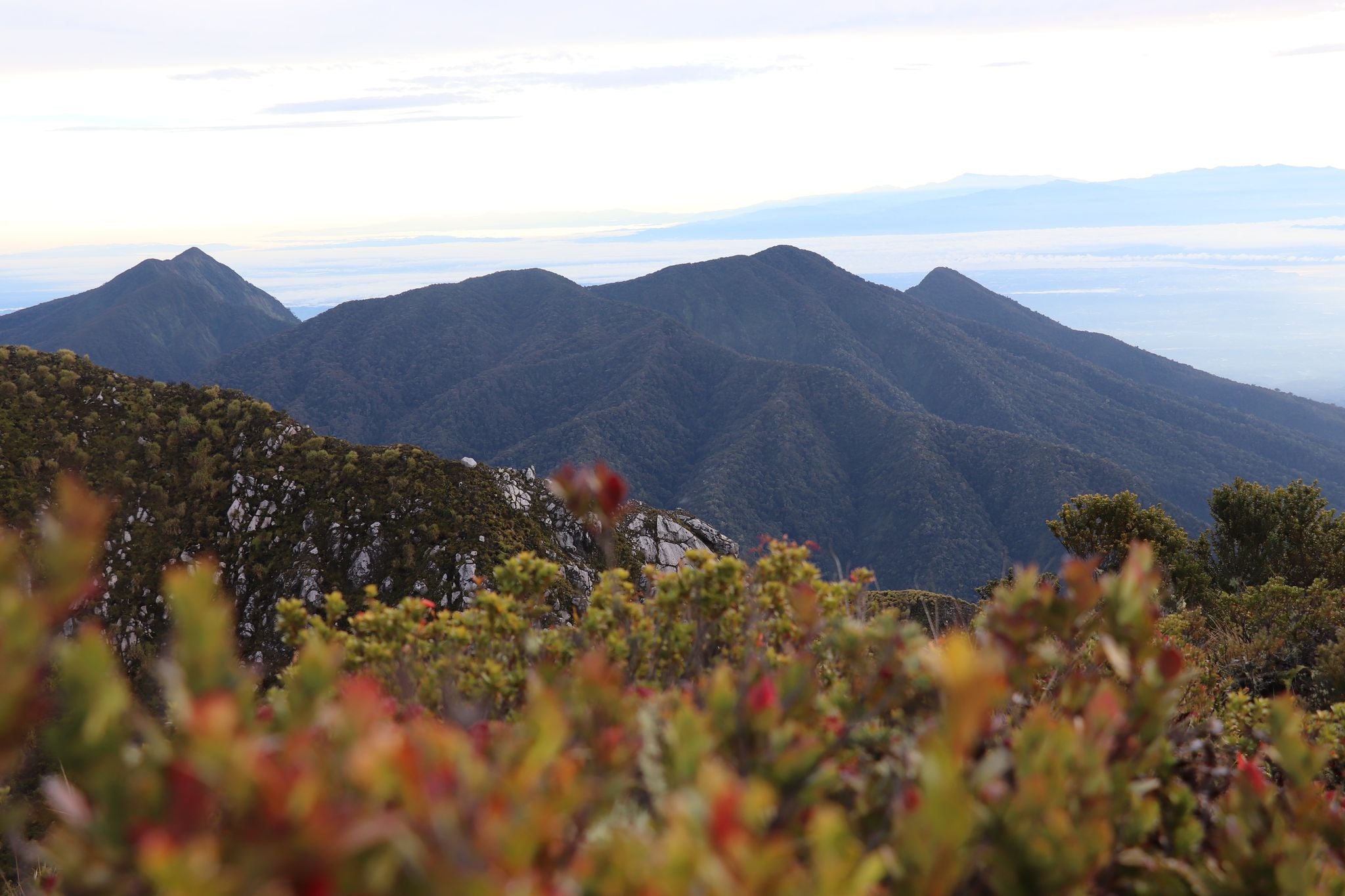 Trekkers Climb Mt. Apo Over The Long Weekend | Campsites & Trails ...