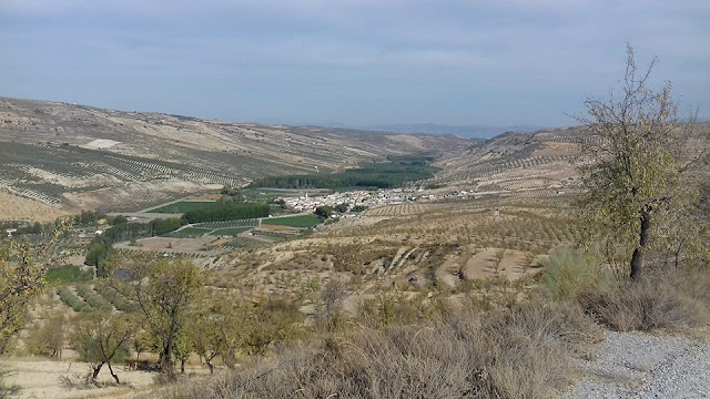 A VISTA DE PÁJARO...: Río Cacín