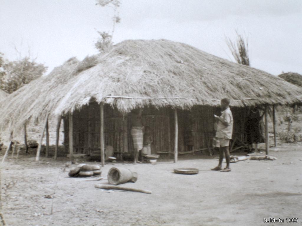 O Nosso Mundo: A minha viagem de sonho...