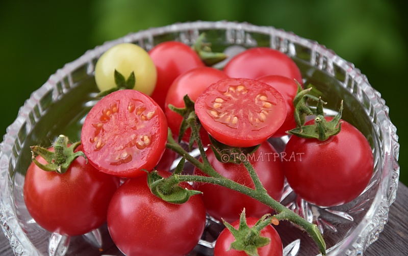Helenes Tomater: Pearly Pink Orange