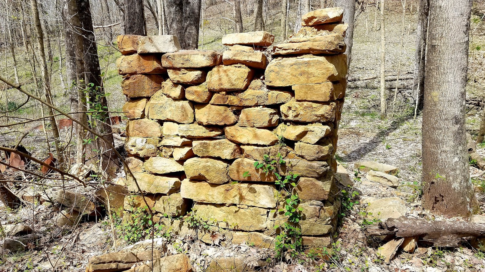 Then & Now Movie Locations: The Evil Dead (1981)