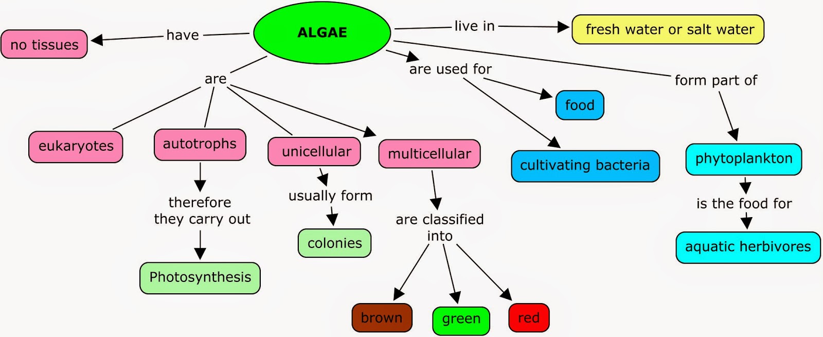BIOLOGY AND GEOLOGY 1º ESO. : 2014