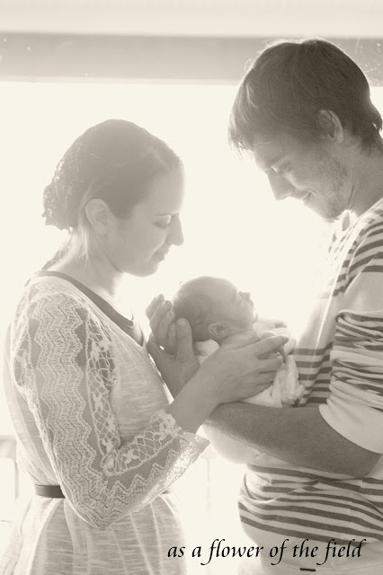 As A Flower Of The Field Newborn Photography Quinton James