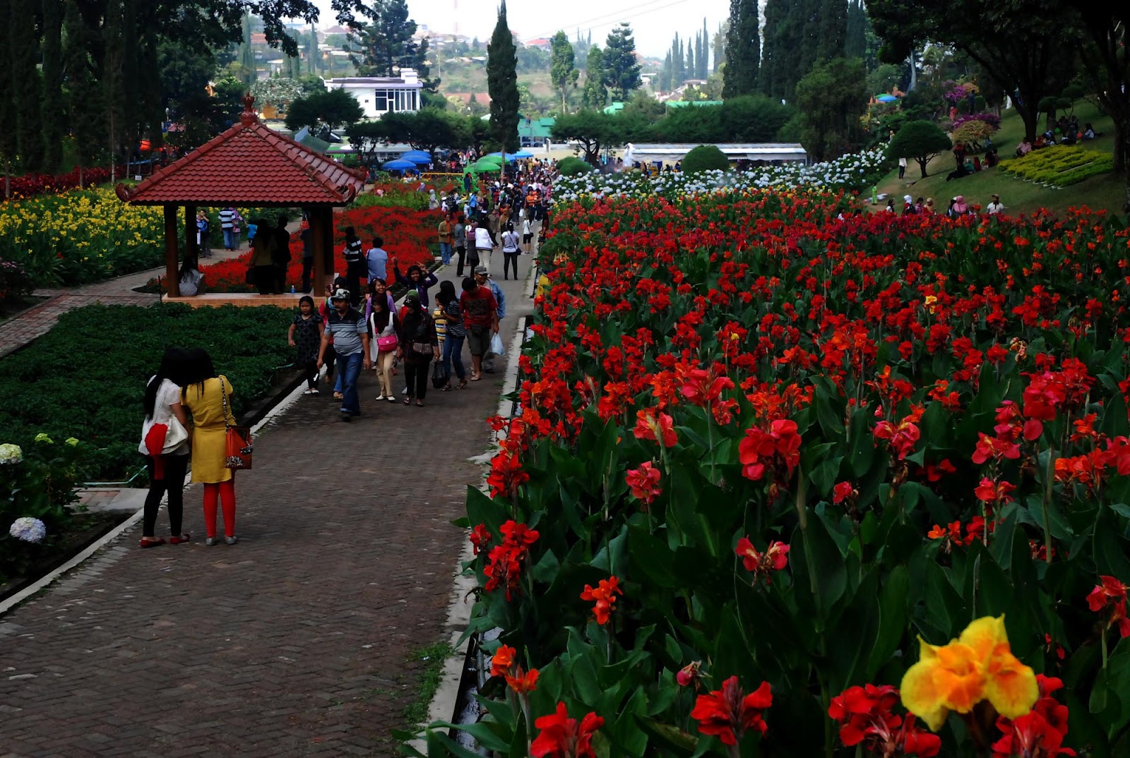 Memanjakan Mata di Taman Wisata Selecta - Batikimono