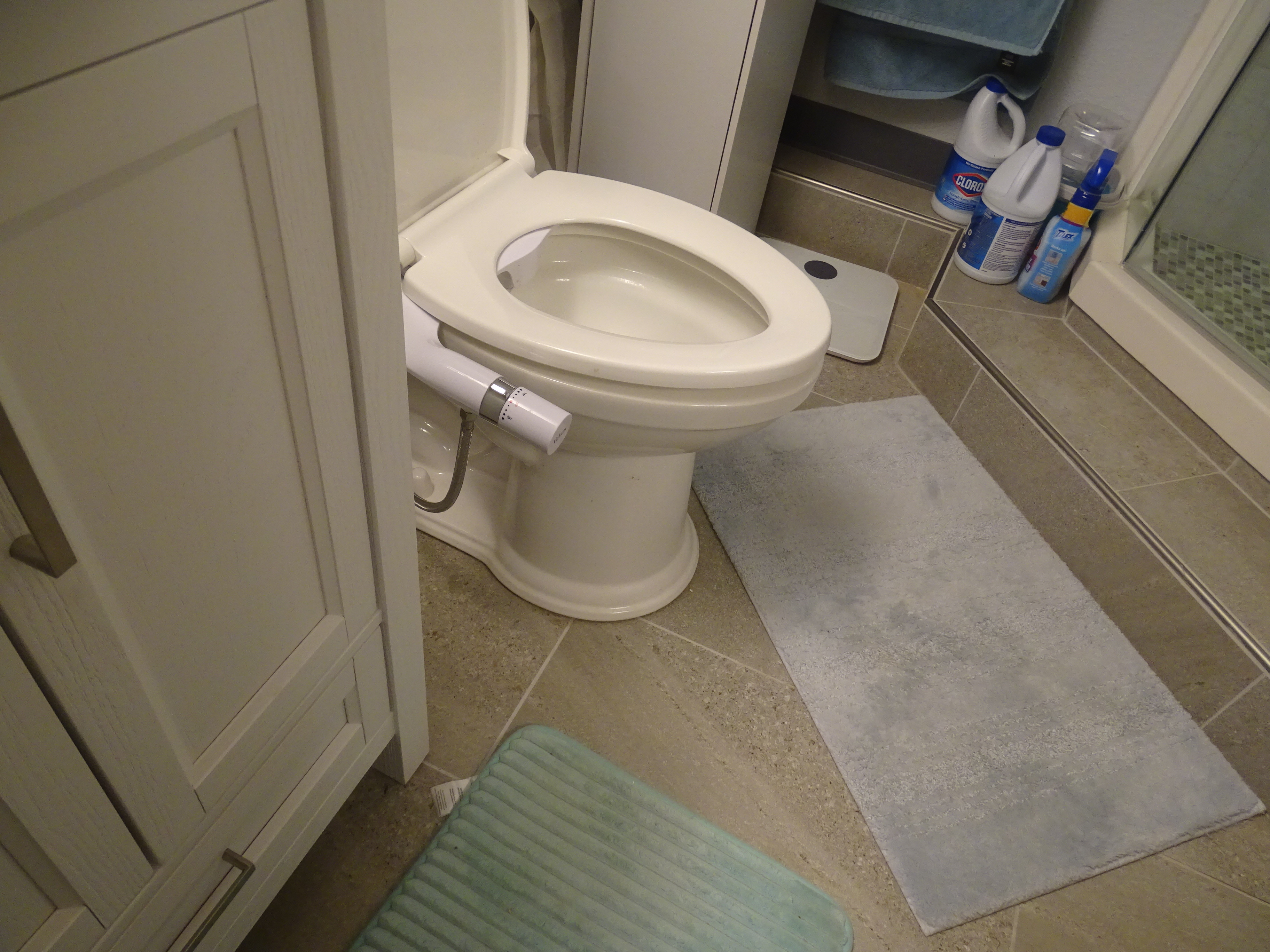 A Day in the Life of....: Lets Talk Bidets...