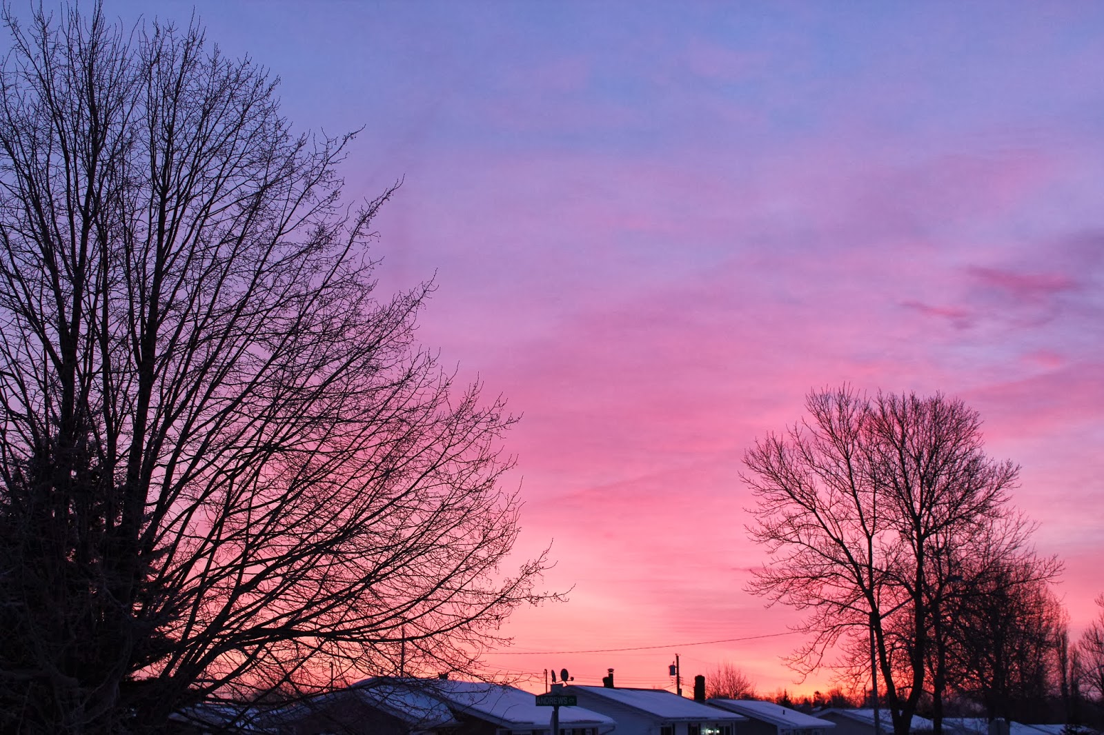 Purple Pink Sunrise