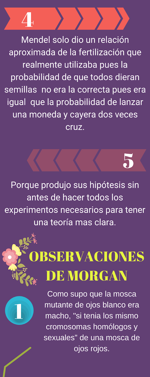 BIOLOGIA II: INFOGRAFIA DE MENDEL Y MORGAN