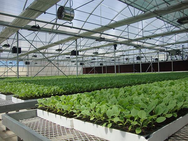 Mist Chamber and Its components