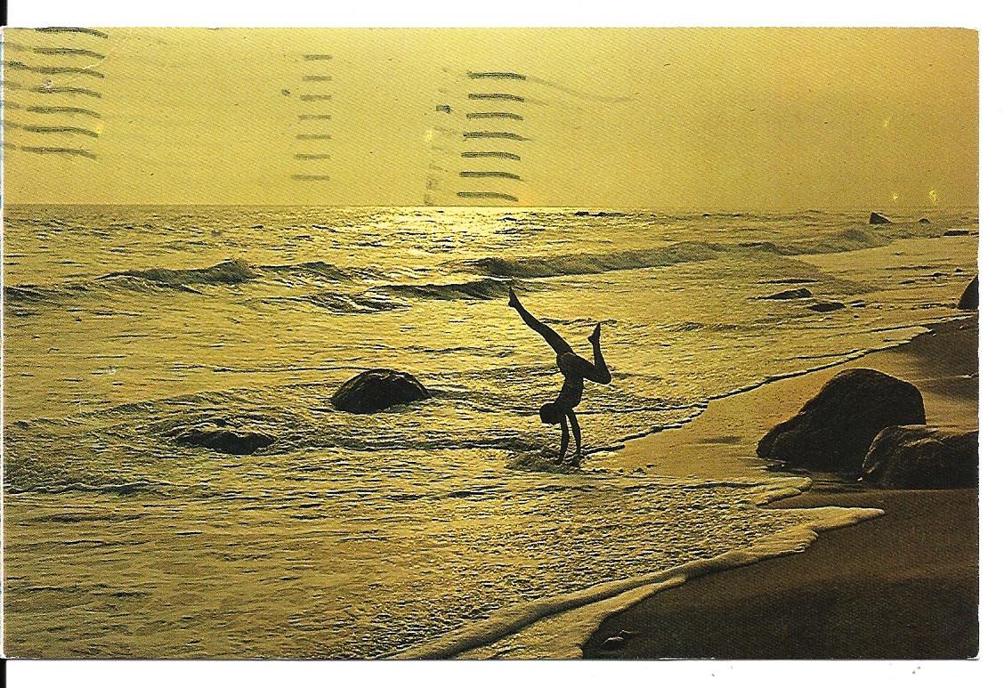 DOWNSIZER SANDY: 2021