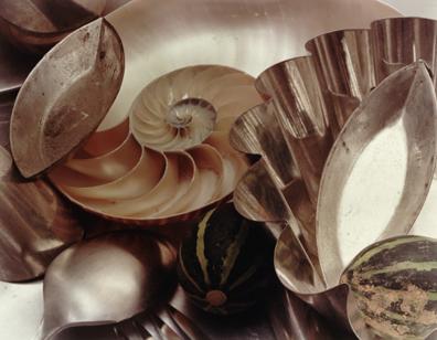 Out of this world: Jan Groover - Postmodern Photographer