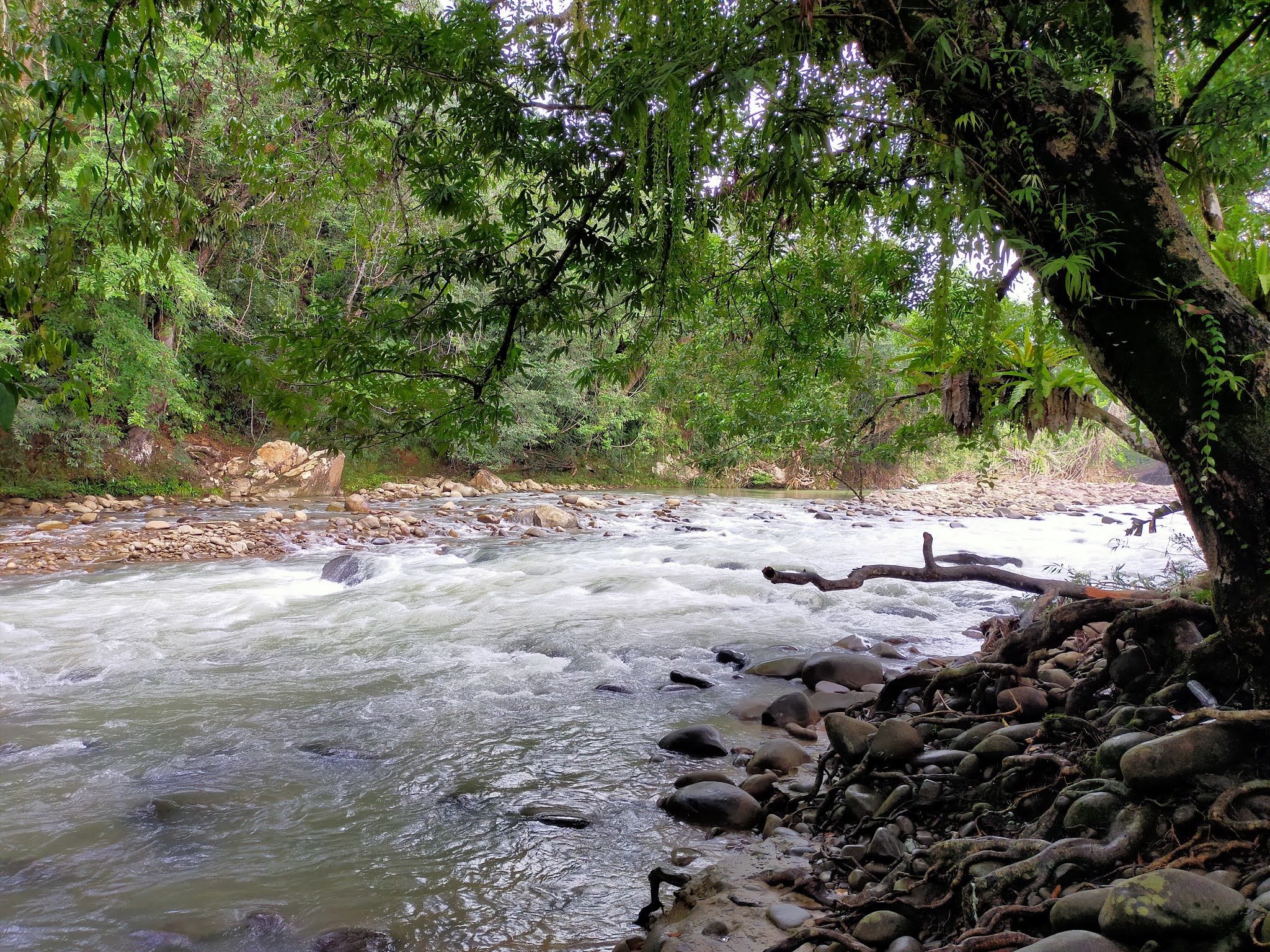 Mandalipau White Water View & Fish Pond