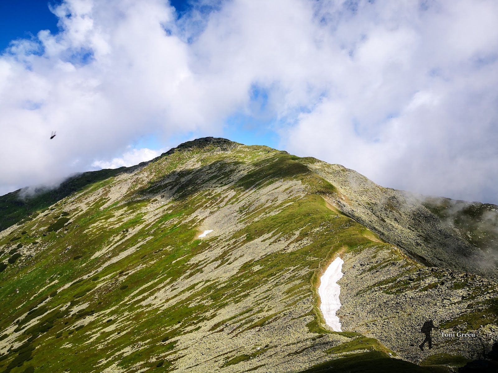 Vârful Pietrosul Rodnei - Vârful Buhăescu Mare ~ Jurnal de drumeții
