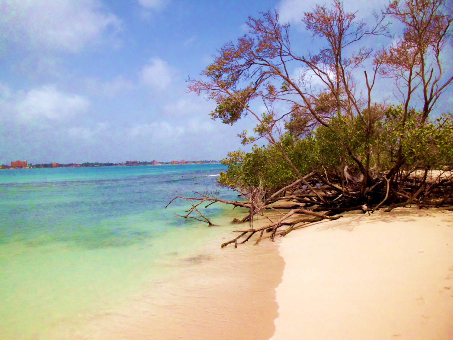 Chichiriviche al día IDC: Lo Mas Impresionate de Cayo Sal en el Parque ...