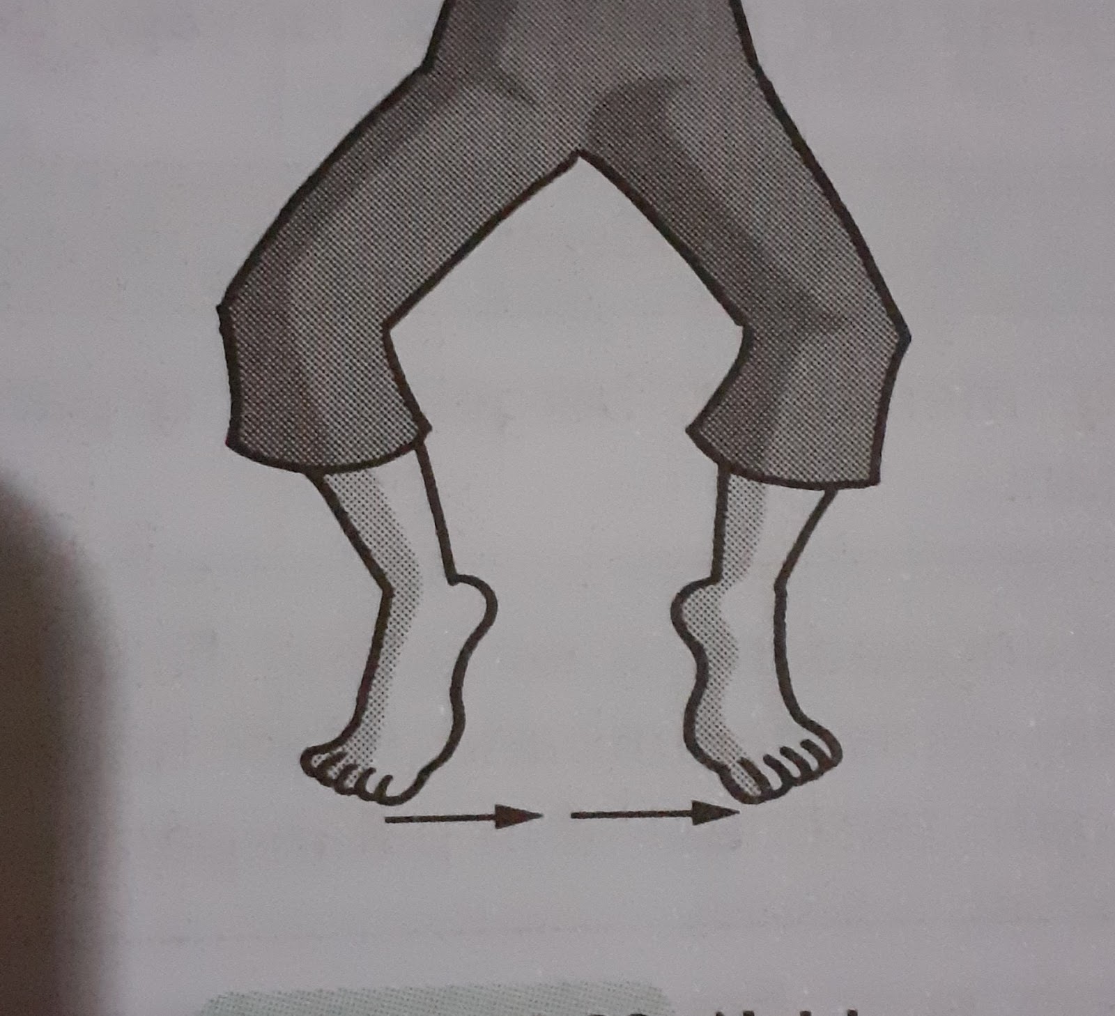 Seni Tari: Ragam Gerak Tari Gambir anom Dan Dolalak