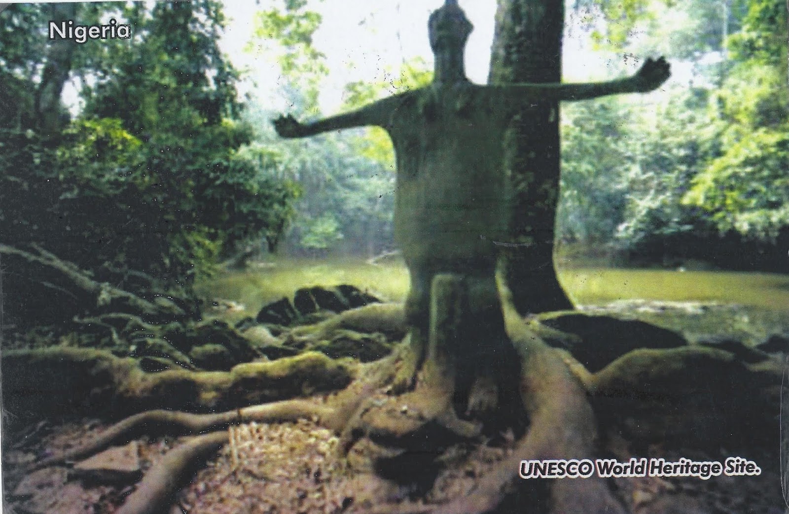 A Journey of Postcards: Osun-Osogbo Sacred Grove | Nigeria