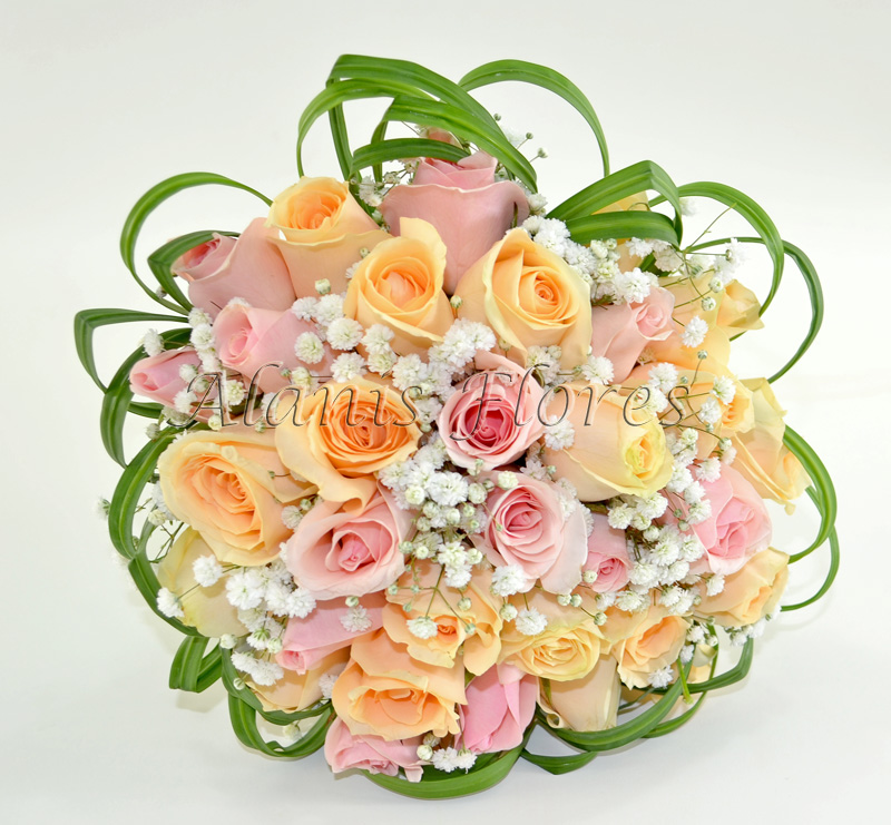 Alanis Flores: Candy Colors