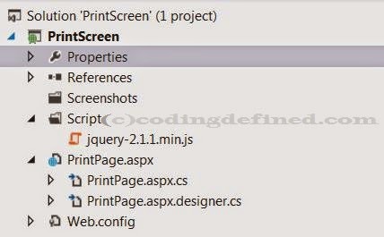 Print Screen in Asp Net Web Application - Coding Defined