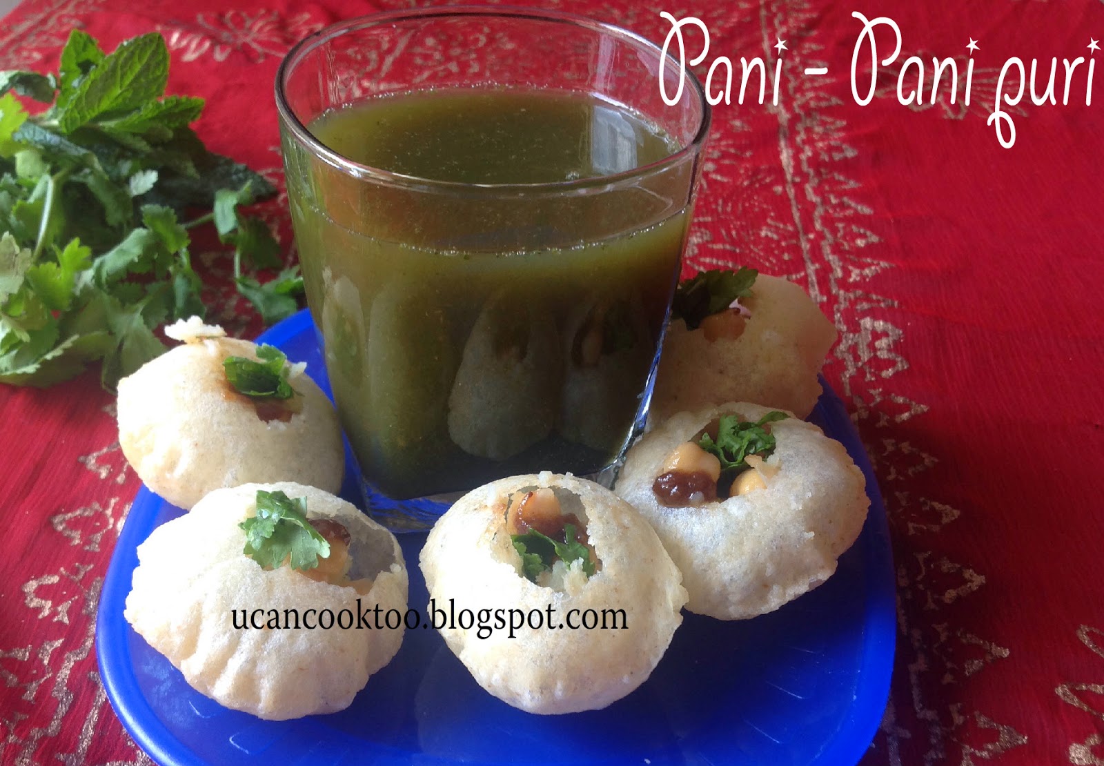 Pani in pani puri ~ U can cook too