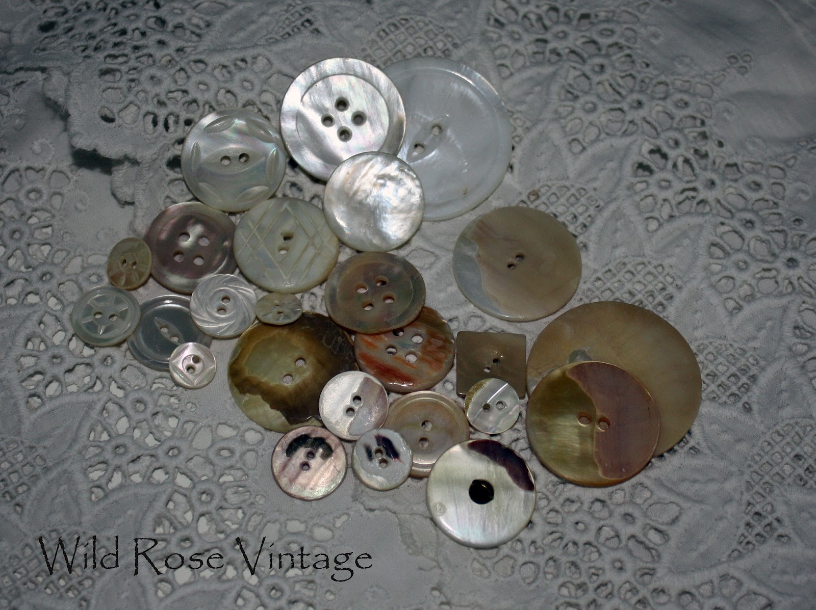 Wild Rose Vintage: Pearl Button Shells